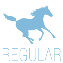 Regular Speed Delivery - Quick Premier Delivery